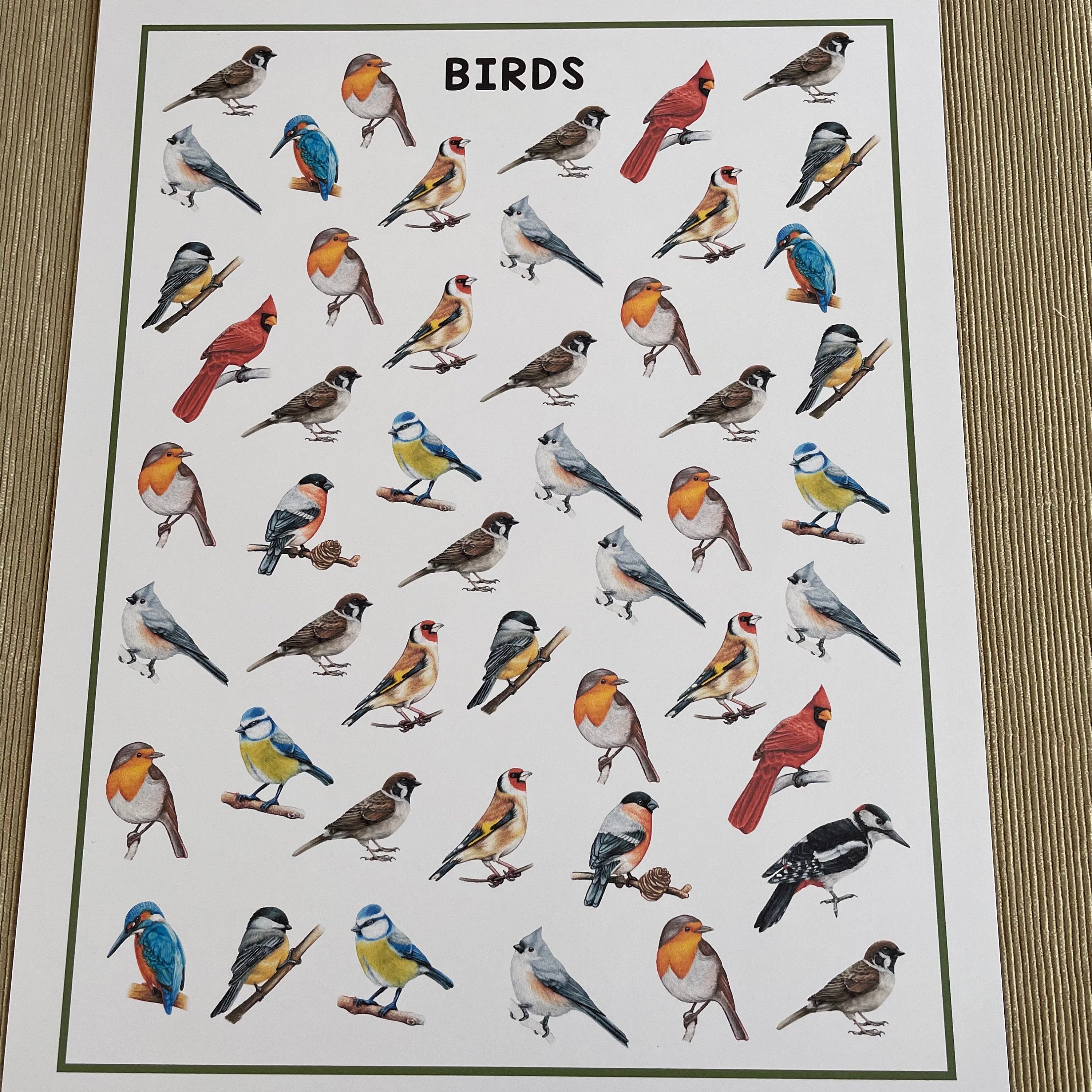 Birds Preschool Graphing. Spring Montessori Math Printable for - Etsy