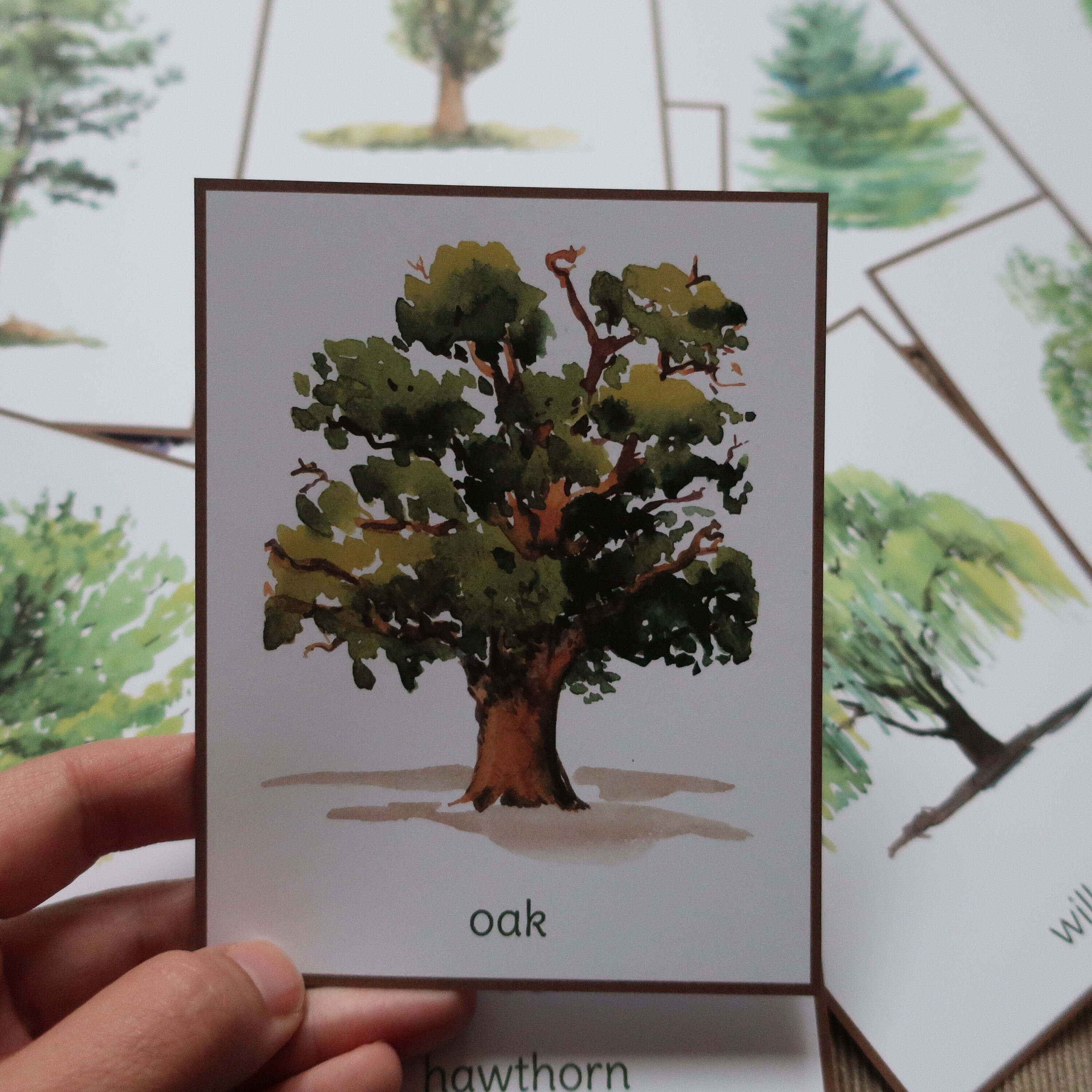 Trees Flash Cards and Shadow Matching Cards. Watercolor - Etsy UK