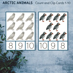 Arctic Animals Count and Clip Cards 1-10. Winter Preschool Math ...