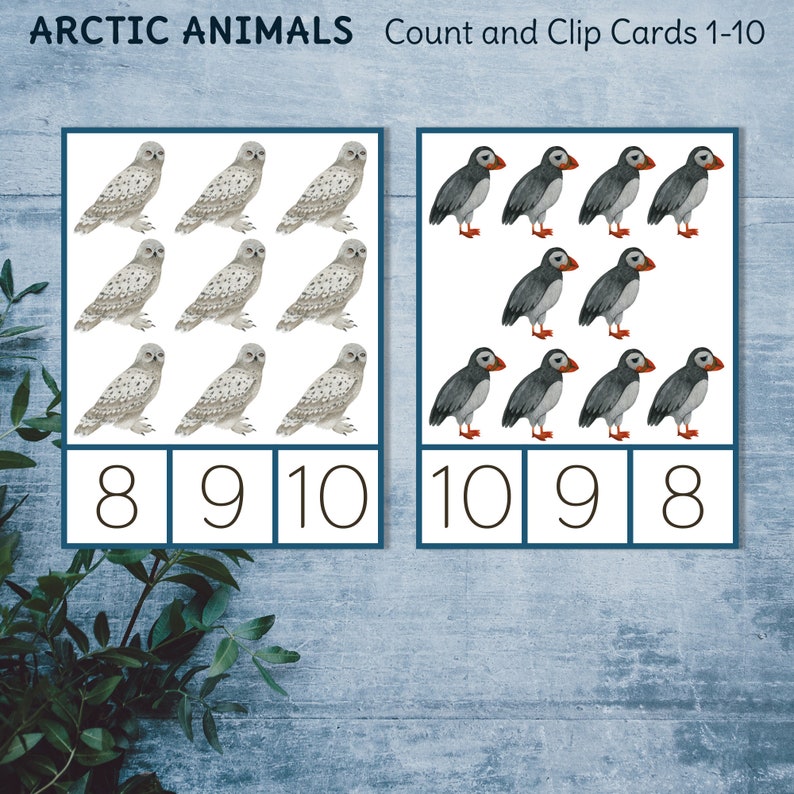 Arctic Animals Count and Clip Cards 1-10. Winter Preschool - Etsy