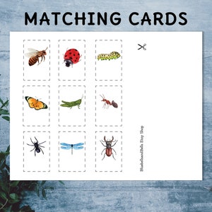 Phonics Printable INSECTS. Spring Preschool and Kindergarten Beginning ...