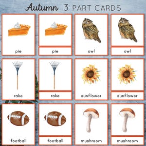 Fall Montessori Printable 3 Part Cards. Autumn Vocabulary for Preschool ...