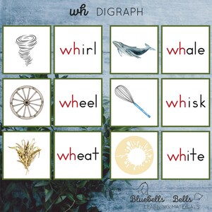 Digraph Cards Matching Activity. Montessori Phonics Green Series ...