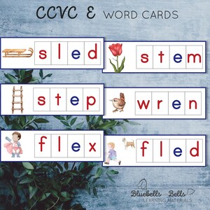 Montessori Printable Moveable Alphabet and CCVC Word Letter Matching ...