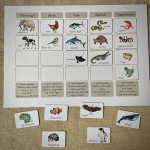 Classification of Animals Vertebrates. Chart and Worksheet for Sorting ...