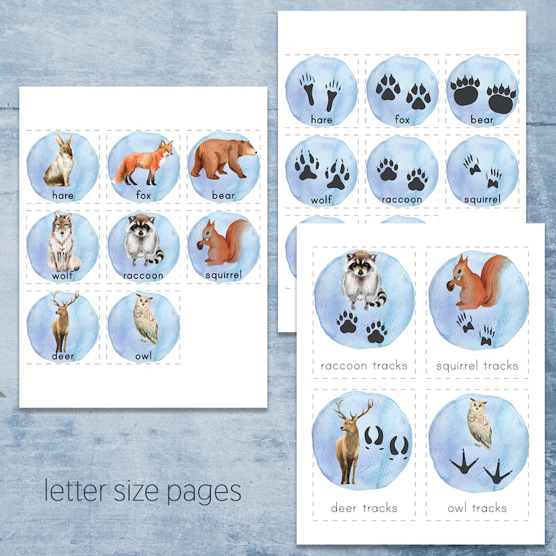 Winter Woodland Animal Tracks Flashcards. Montessori Winter | Etsy