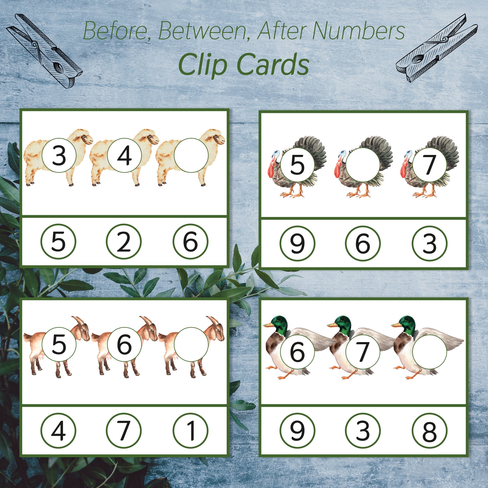 Farm Animal Number Sequence Clip Cards 1-10. Before Between - Etsy