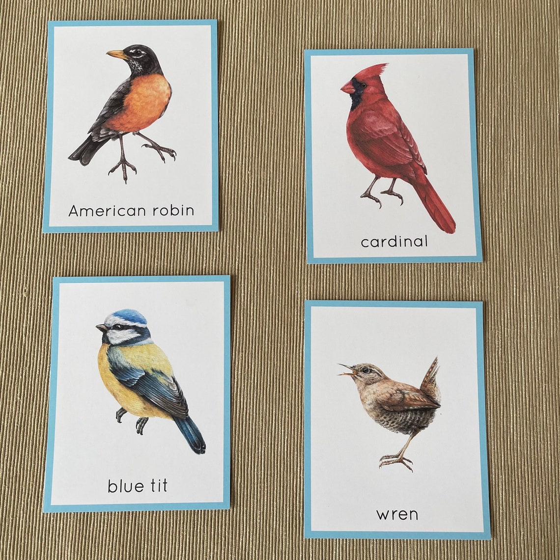 Birds Cards. Birds Identification Printable Flash Cards. Montessori ...