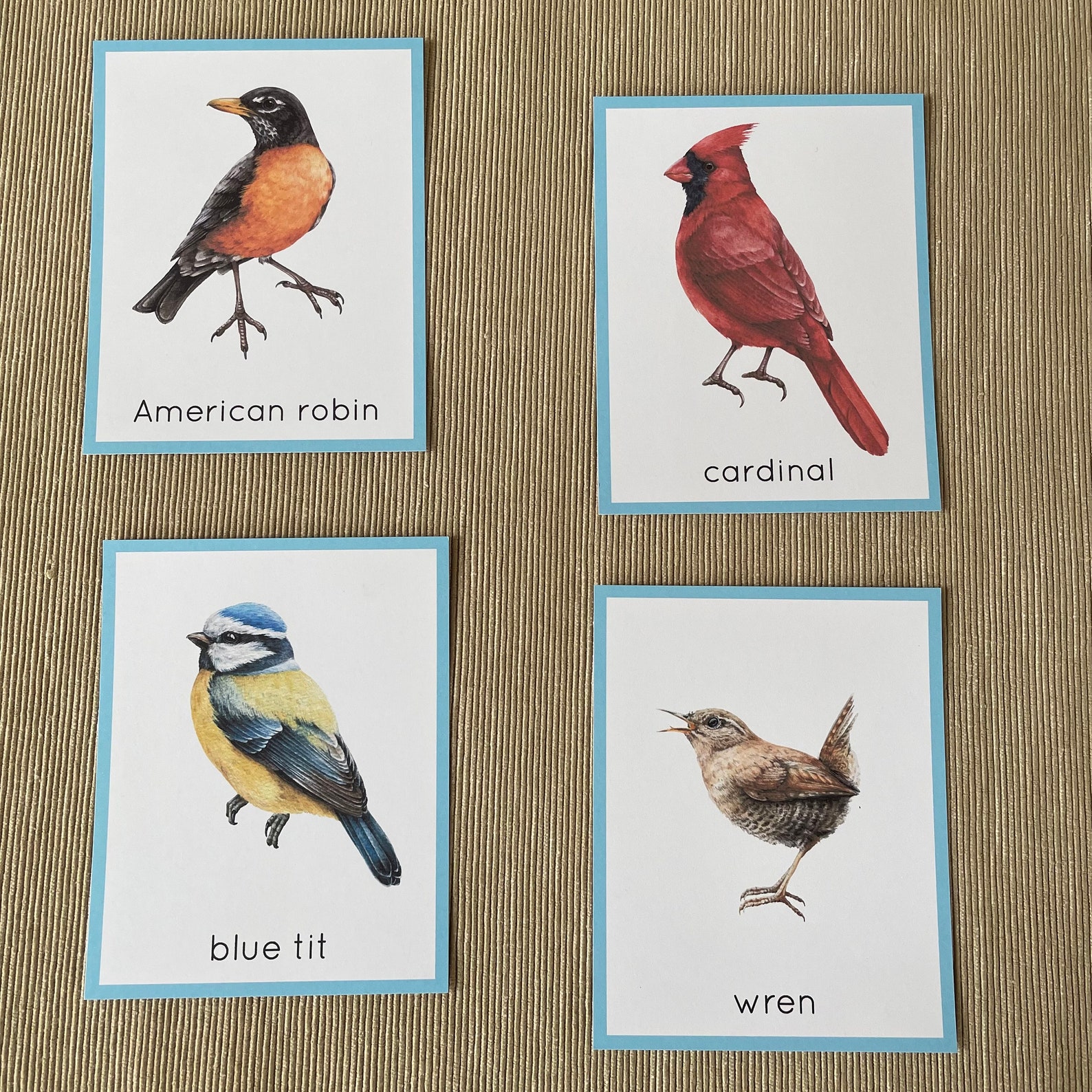 Birds Cards. Birds Identification Printable Flash Cards. Montessori ...