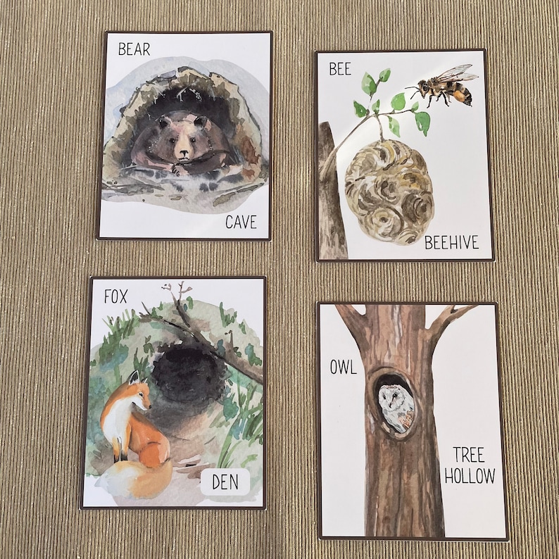 Animal Homes Cards and Matching Activity. - Etsy