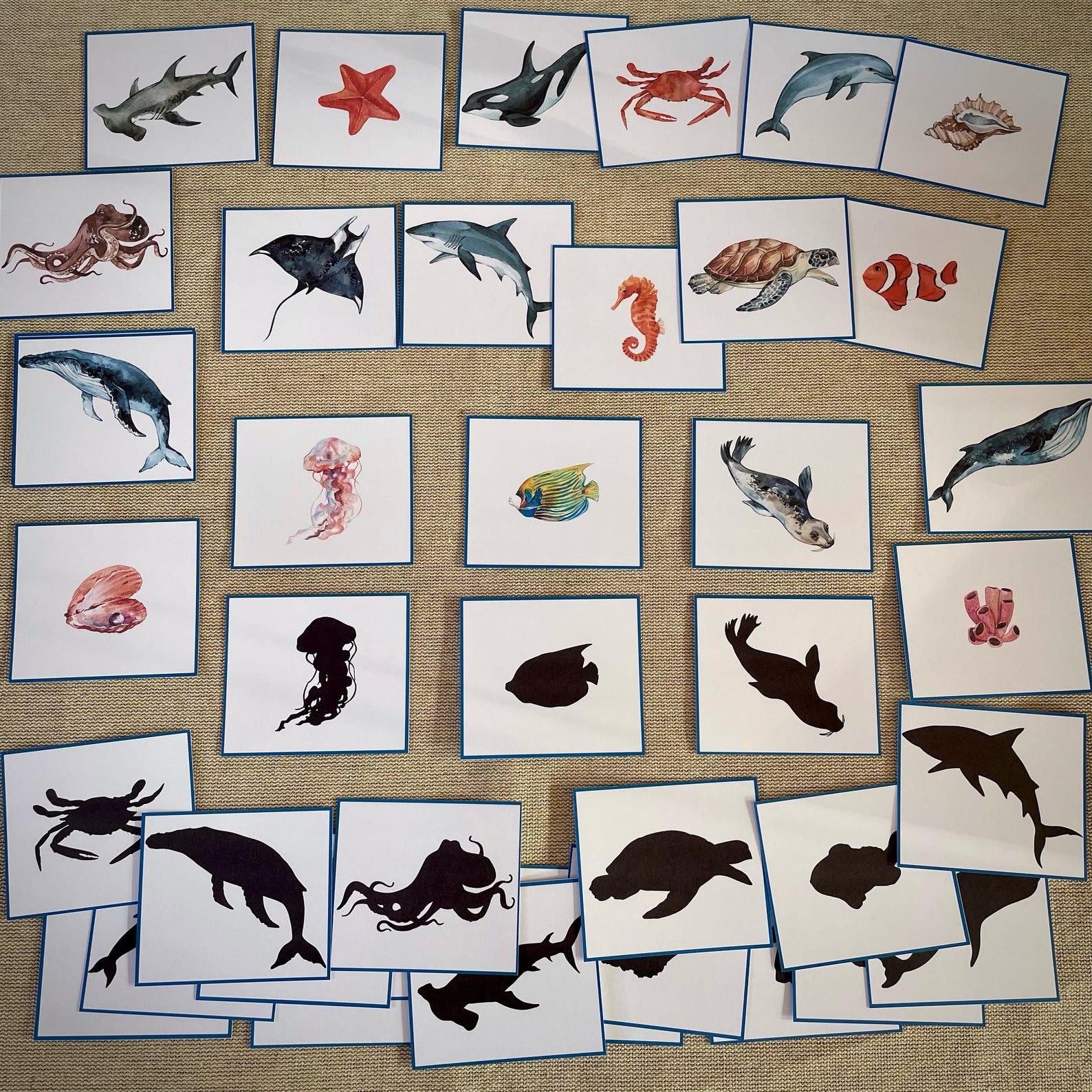 Ocean Animal Shadow Matching Cards. Montessori Summer Preschool ...