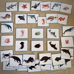 Ocean Animal Shadow Matching Cards. Montessori Summer Preschool ...