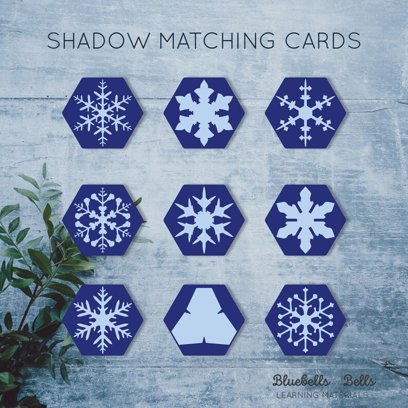 Snowflake Preschool Printable Shadow Matching Activity. Montessori ...