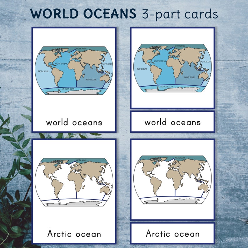 Oceans of the World 3 Part Cards. Montessori Geography - Etsy
