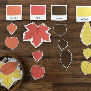 Color Sorting Fall Leaves Activity for Preschool. Shape Sorting ...