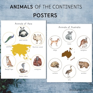 Animals of the Continents Posters and Sorting Activity. Montessori ...