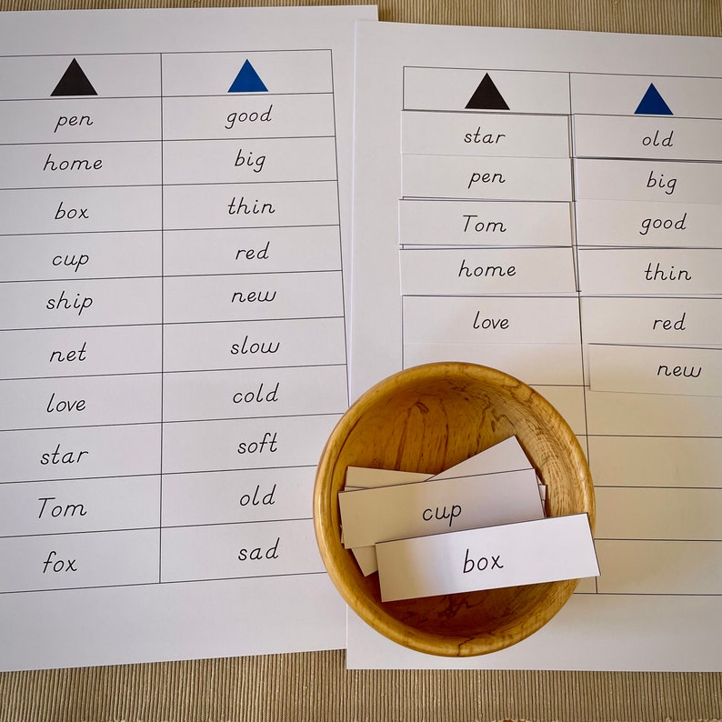 Montessori Parts of Speech Noun and Adjective Sorting Activity. Grammar ...