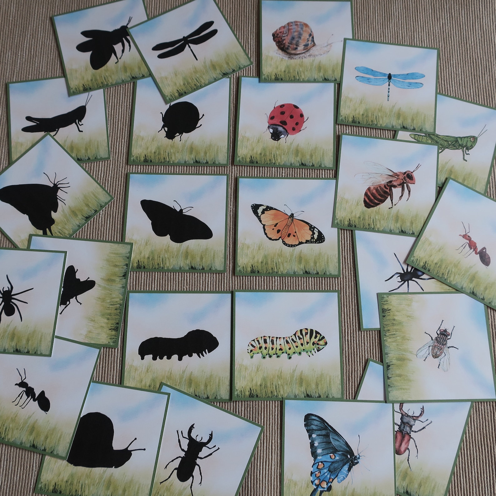 Insect Shadow Matching Cards. Montessori Pre-reading Printable | Etsy
