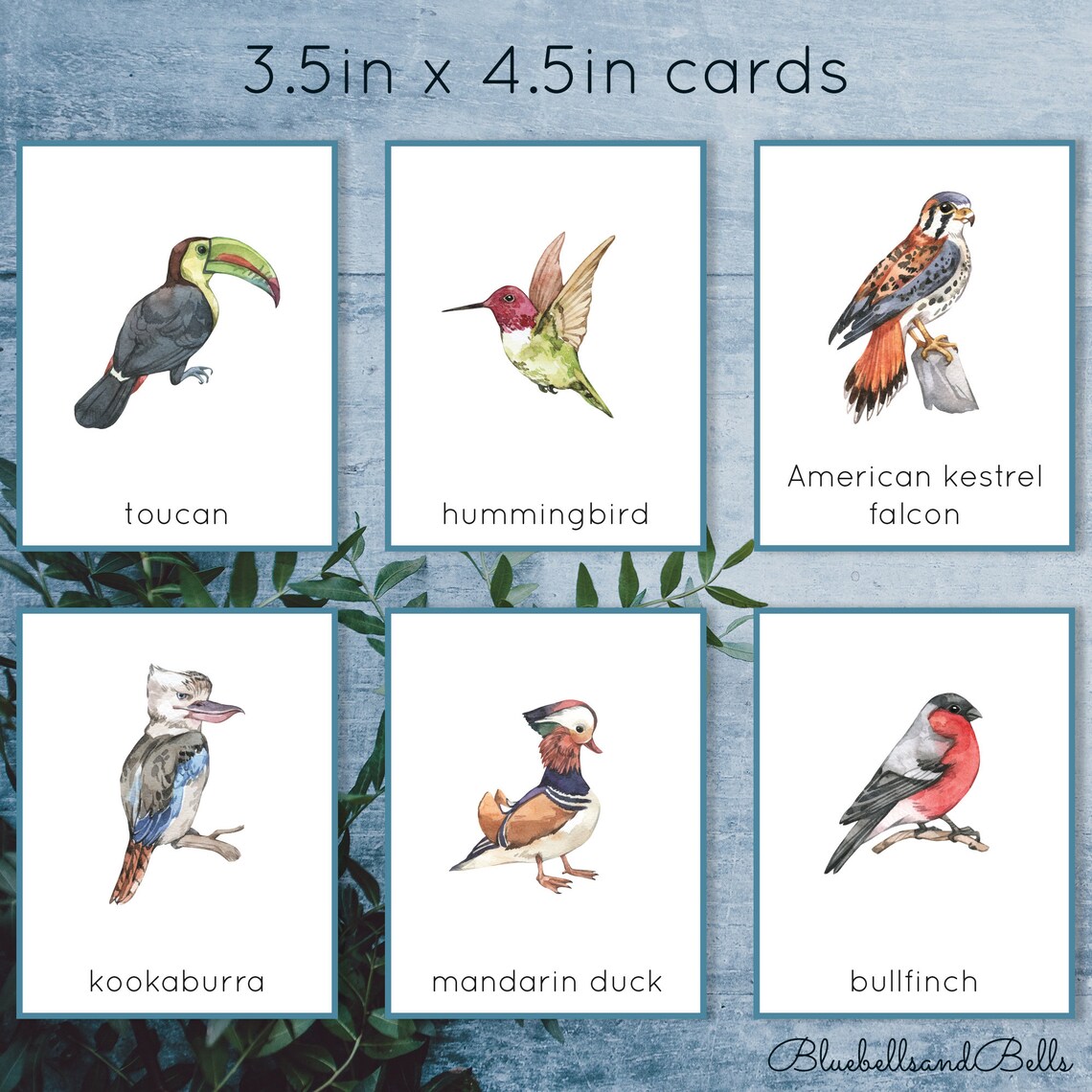Birds Flash Cards. Watercolor Printable Birds of the World | Etsy