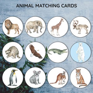 Animals of the Continents Shadow Matching Activity. Montessori ...