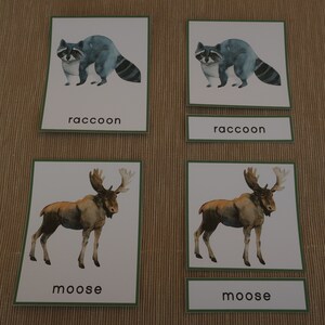 Woodland Animals Montessori 3 Part Cards. Preschool Vocabulary Activity ...