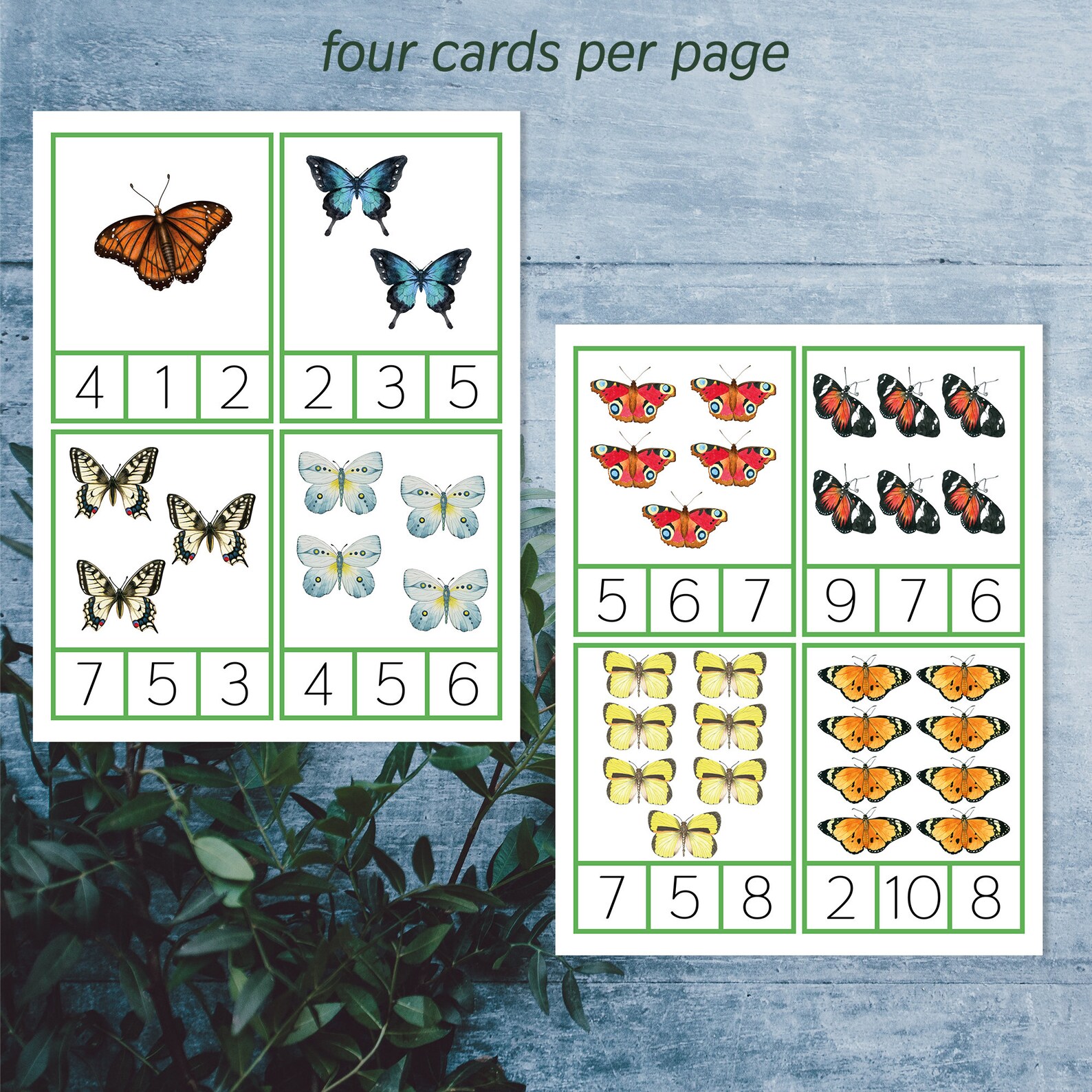 Butterfly Count and Clip Cards 1-10. Preschool Summer | Etsy