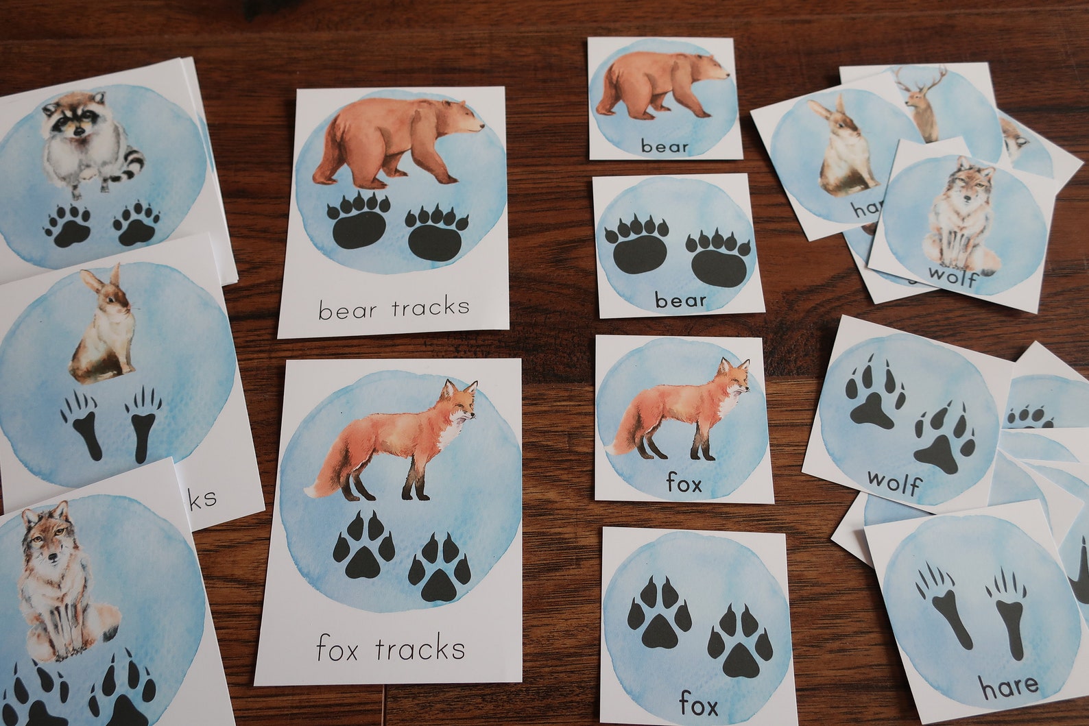 Winter Woodland Animal Tracks Flashcards. Montessori Winter | Etsy