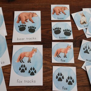 Winter Woodland Animal Tracks Flashcards. Montessori Winter Printable ...