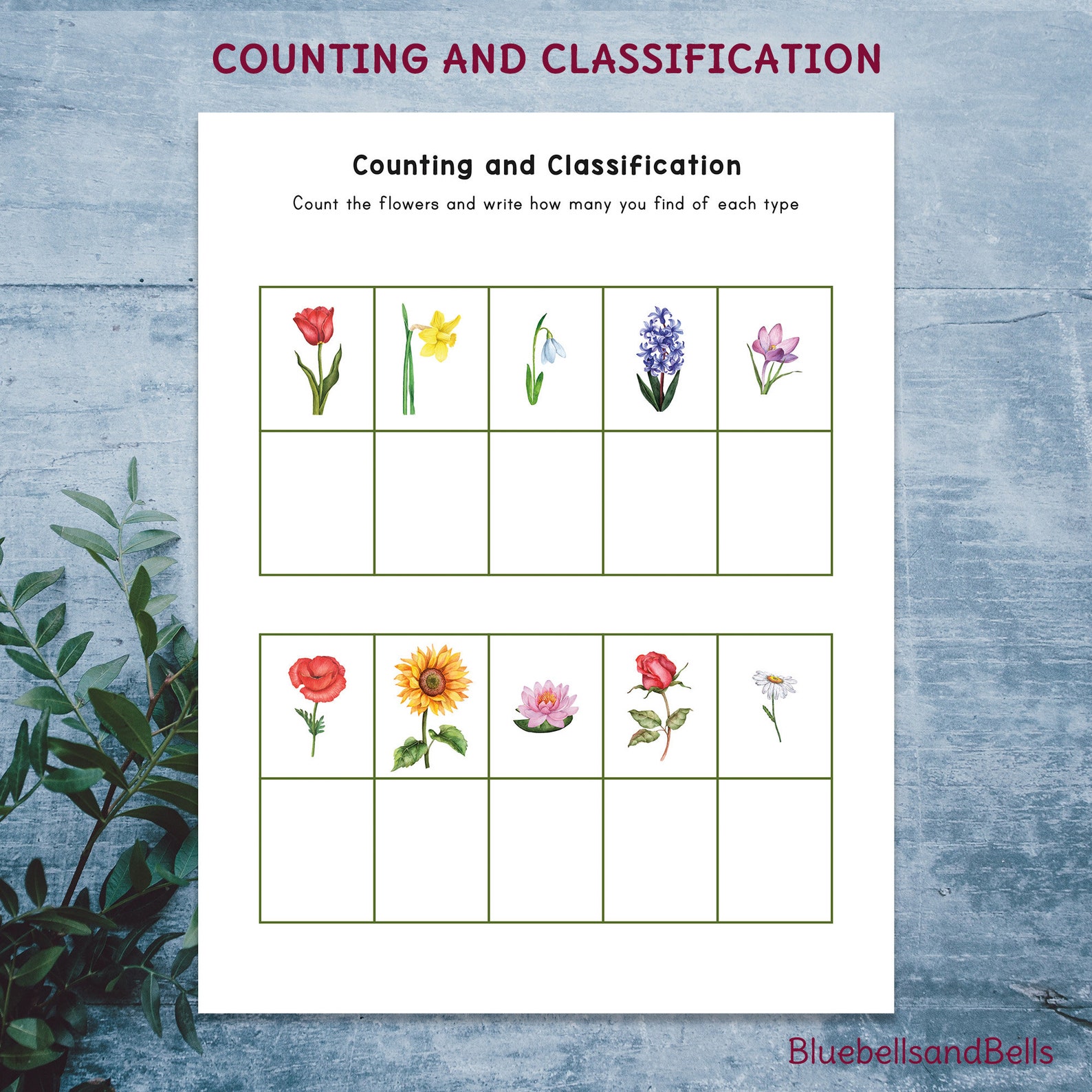 Graphing Printable Flowers. Preschool and Kindergarten Math - Etsy