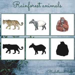 Rainforest Animals Shadow Matching Cards. Montessori Animal Printable ...