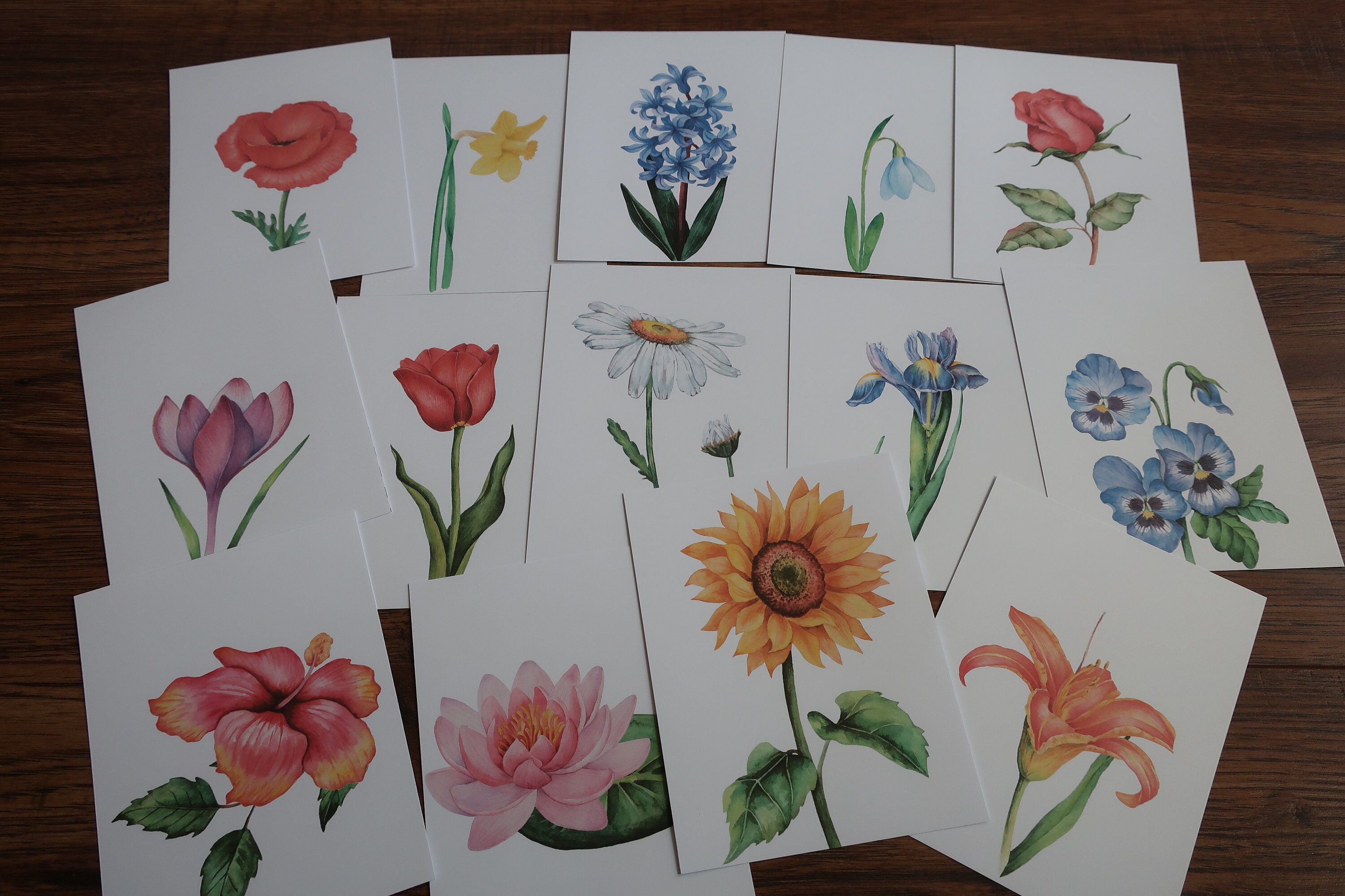 Flower Printable Shadow Matching Cards. Montessori Spring | Etsy