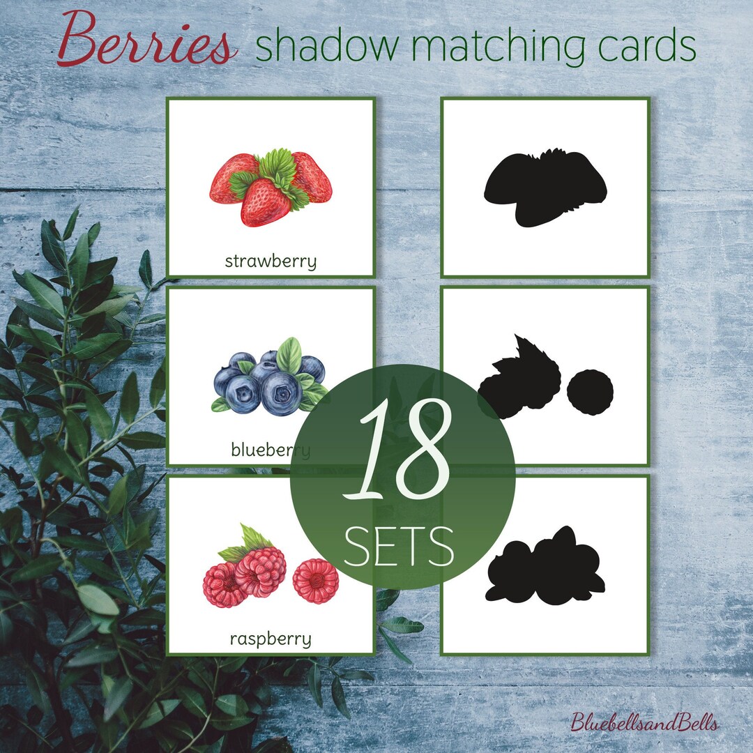 Berries Flashcards and Shadow Matching Cards. Preschool Summer Activity ...