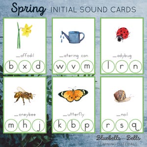 Spring Montessori Printable Phonics Clip Cards. Beginning Sound ...