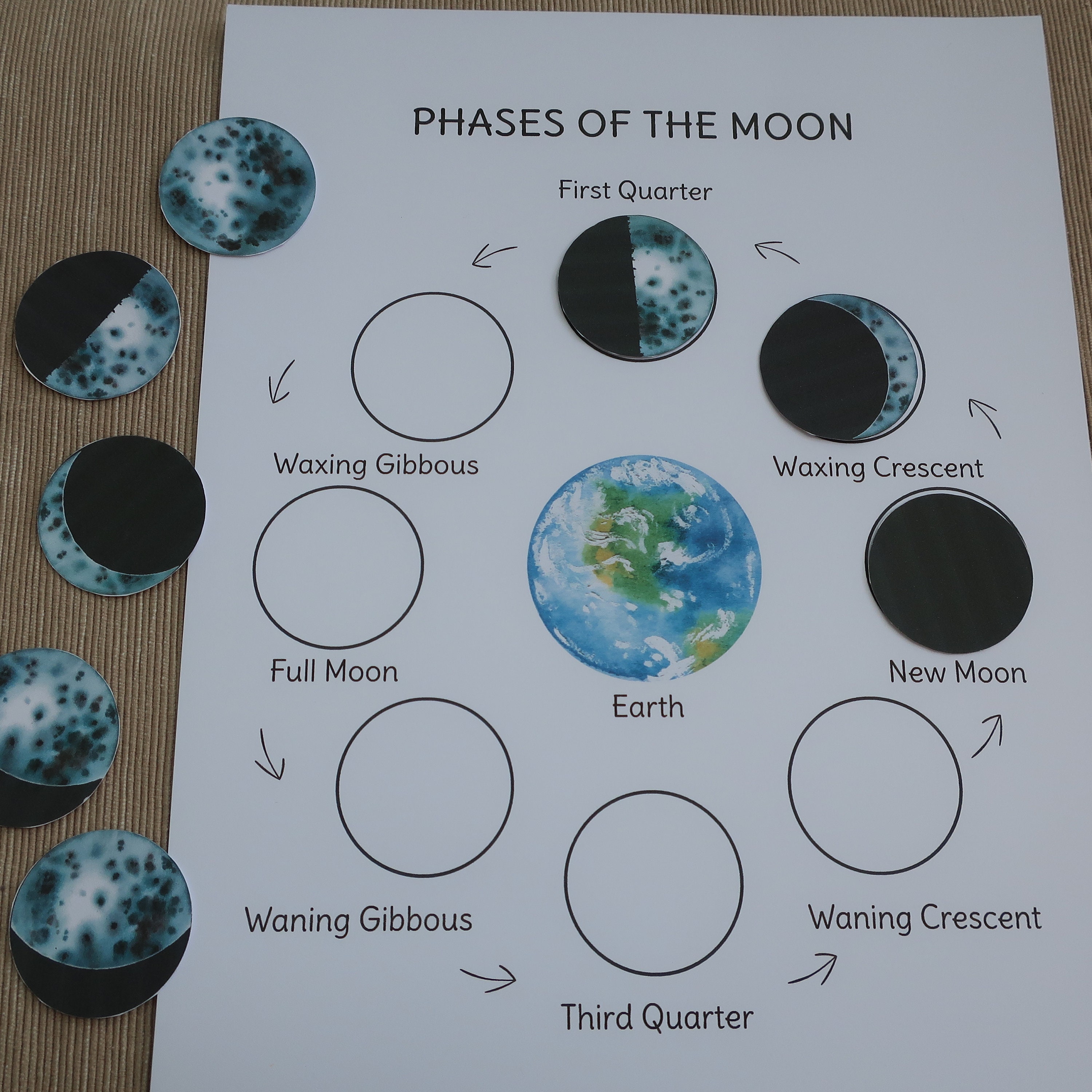 Phases Of The Moon Project For Kids