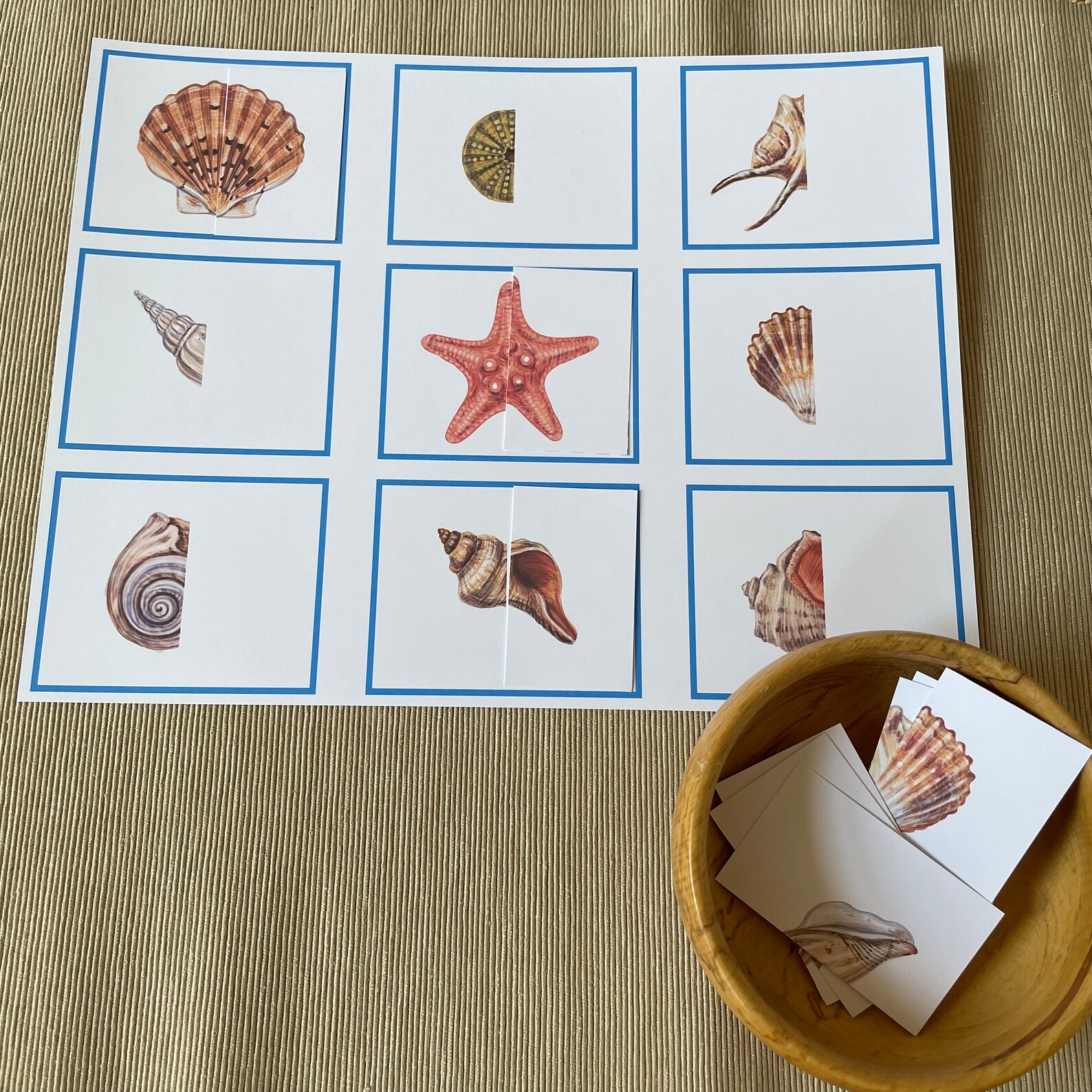 Toddler Summer Puzzle Seashells Halves Matching. Montessori Busy Book ...