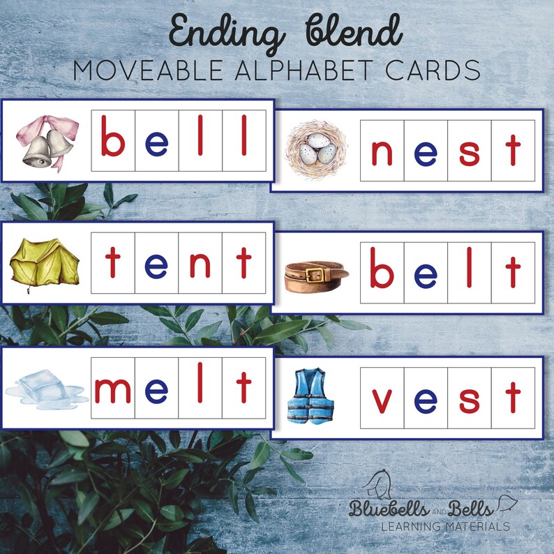 Montessori Moveable Alphabet Printable CVCC Words Cards for Letter ...