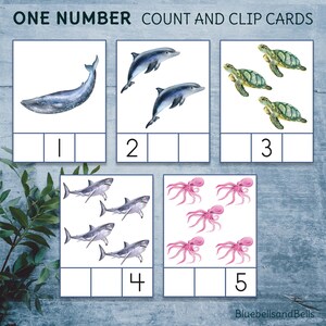 Special Education Errorless Count and Clip Cards 1-10 Ocean. - Etsy