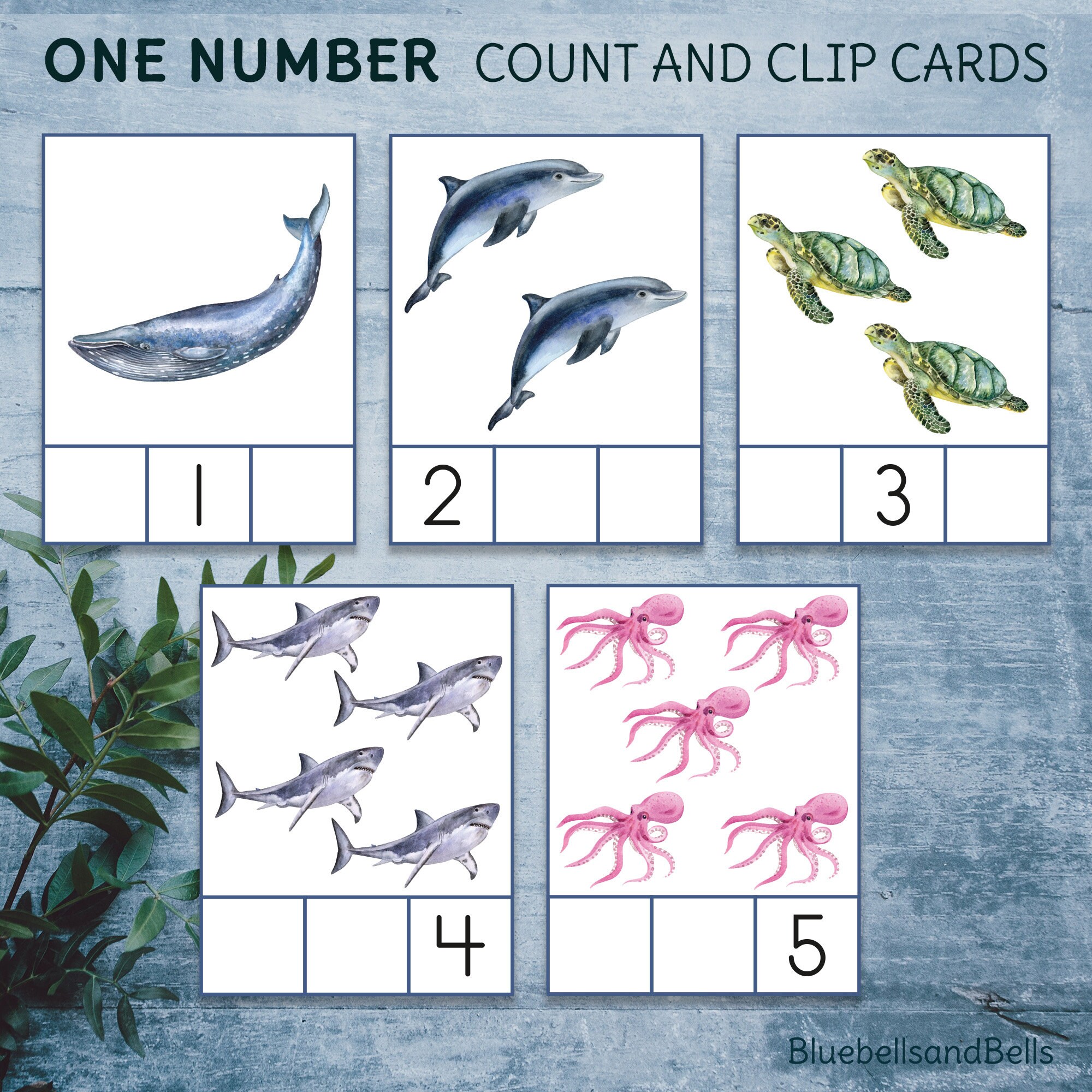 Special Education Errorless Count and Clip Cards 1-10 Ocean. - Etsy