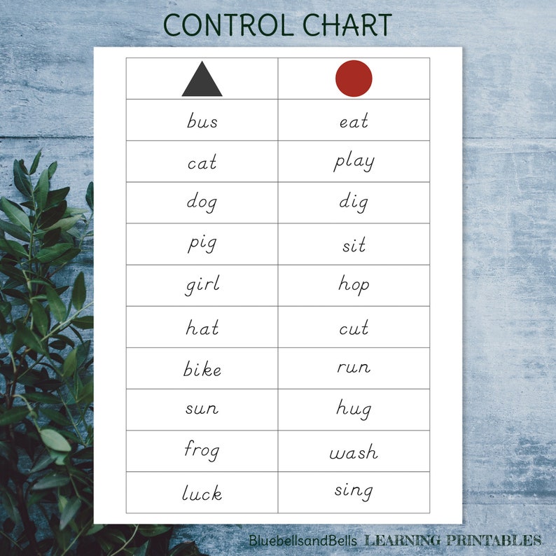 Montessori Parts of Speech Noun and Verb Sorting Activity. - Etsy Canada