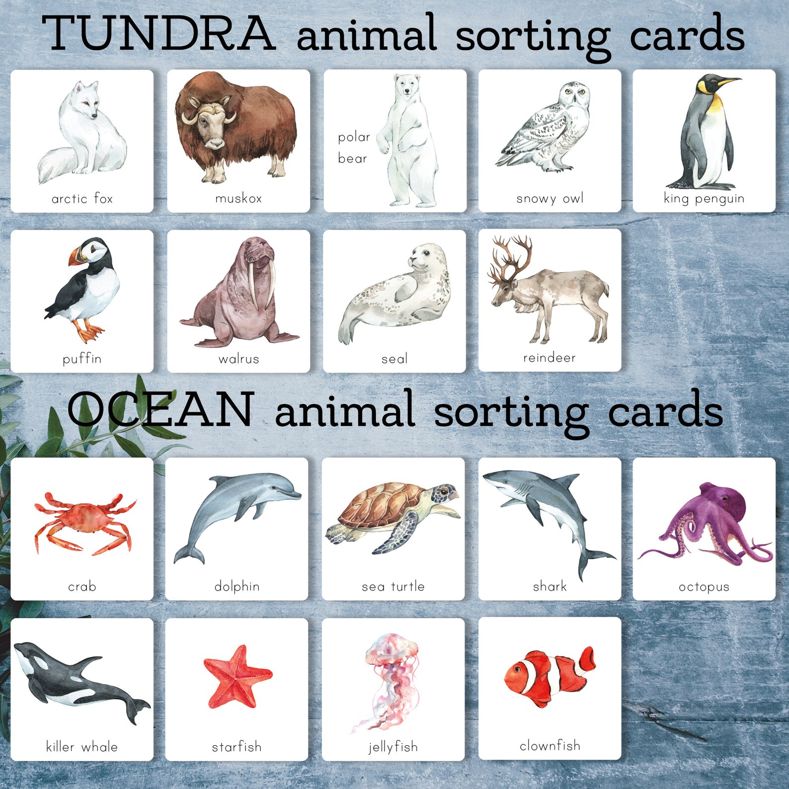 Animal Habitats Sorting Activity and Chart. Montessori - Etsy