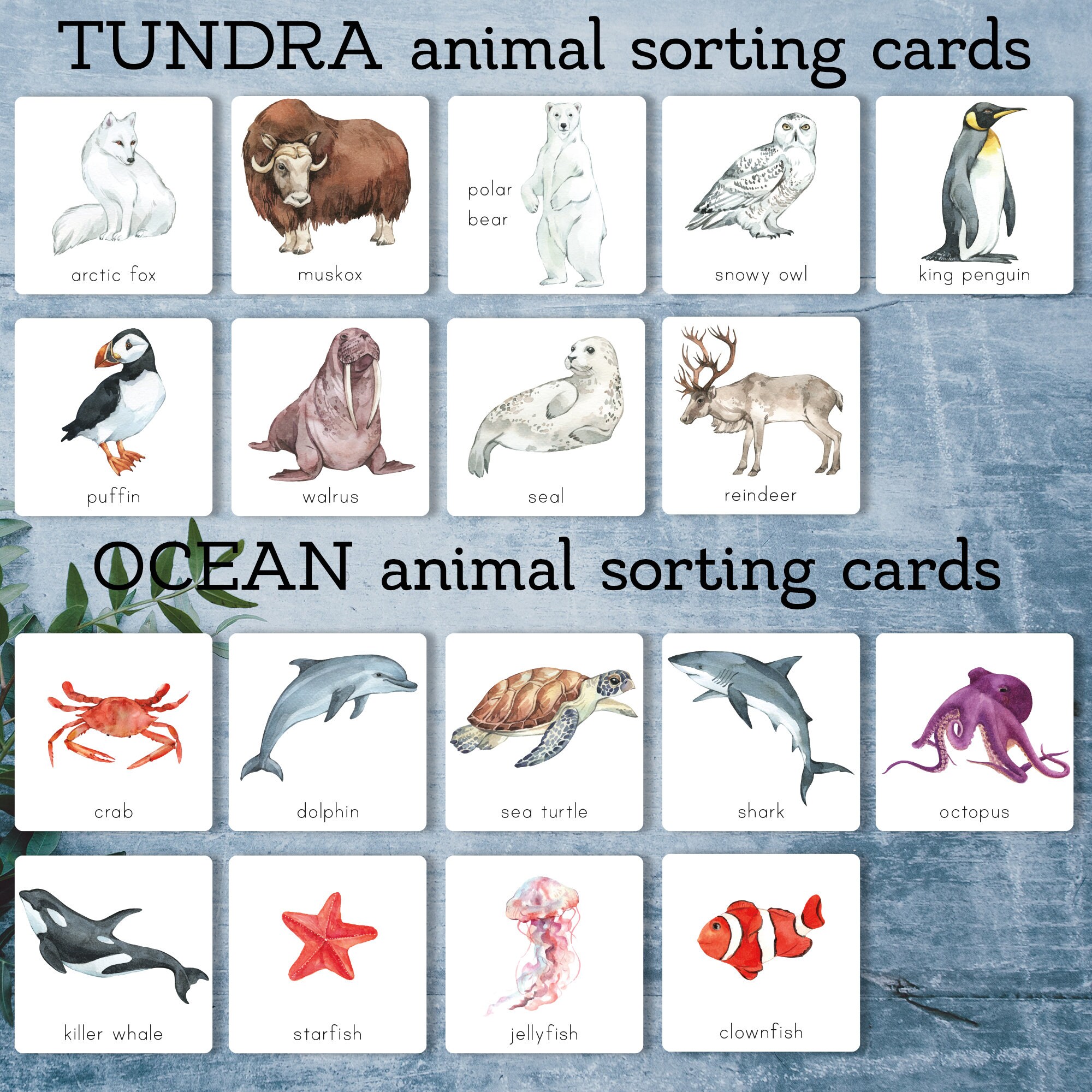 Animal Habitats Sorting Activity and Chart. Montessori - Etsy Canada