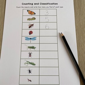 Insects Preschool Printable Graphing. Kindergarten Math Activity. - Etsy