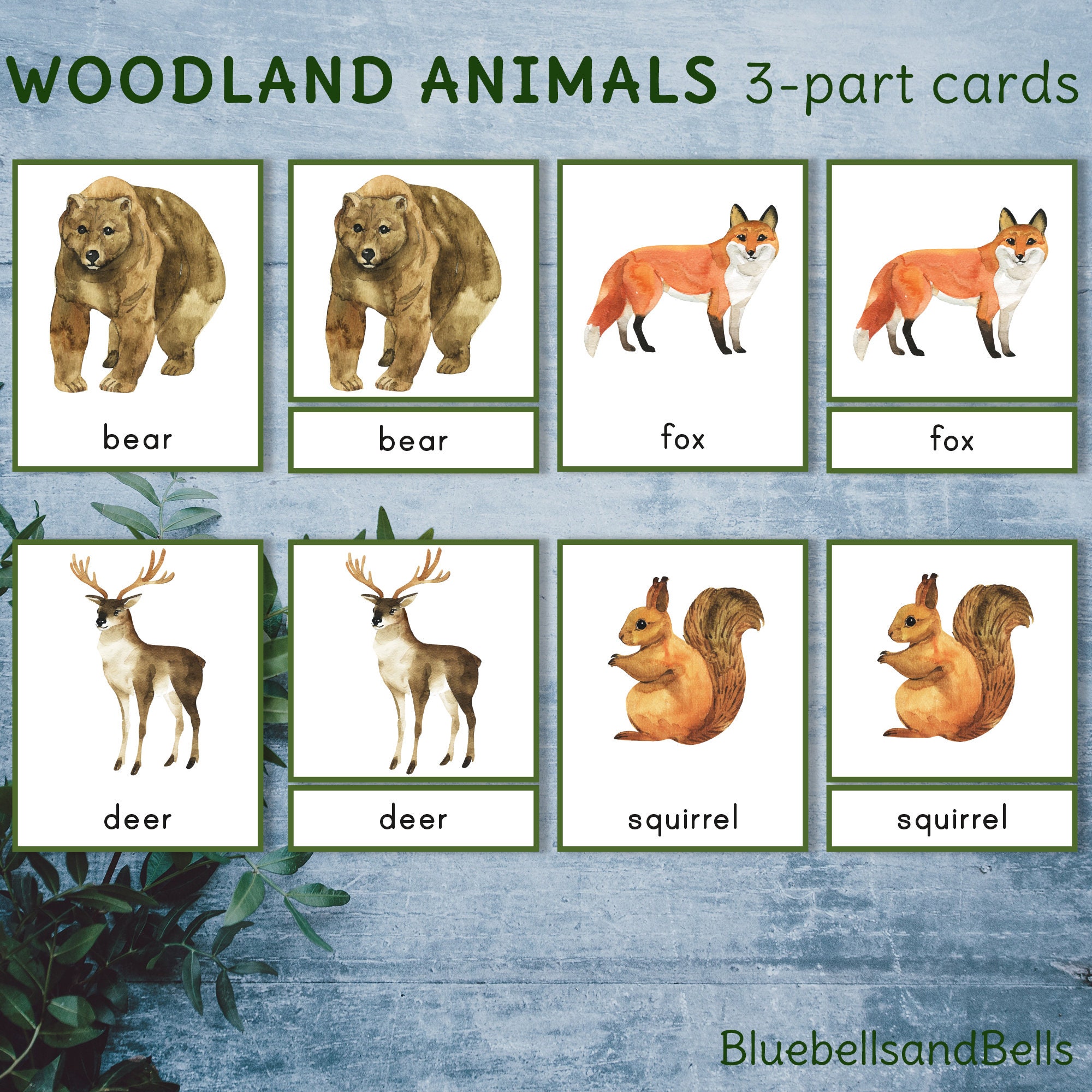 Woodland Animals Montessori 3 Part Cards. Preschool Vocabulary | Etsy
