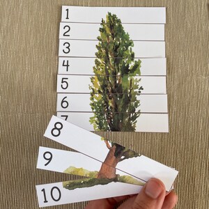 Trees Preschool Printable Puzzle Number Sequence 1-10. Kindergarten ...