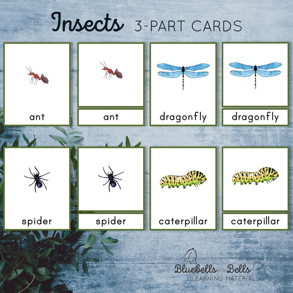 Insect Montessori Printable 3-part Cards. Preschool and Kindergarten ...