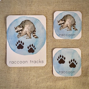 Winter Woodland Animal Tracks Flashcards. Montessori Winter Printable ...