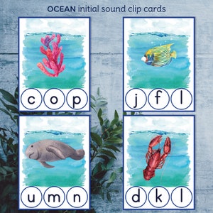 Ocean Animal Printable Phonics Clip Cards. Beginning Sound Activity ...