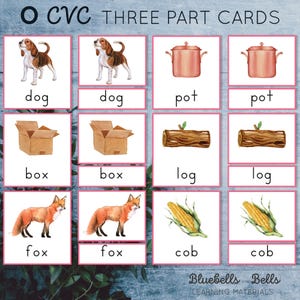 Montessori Printable CVC Phonics 3-part Cards. CVC Words Reading ...