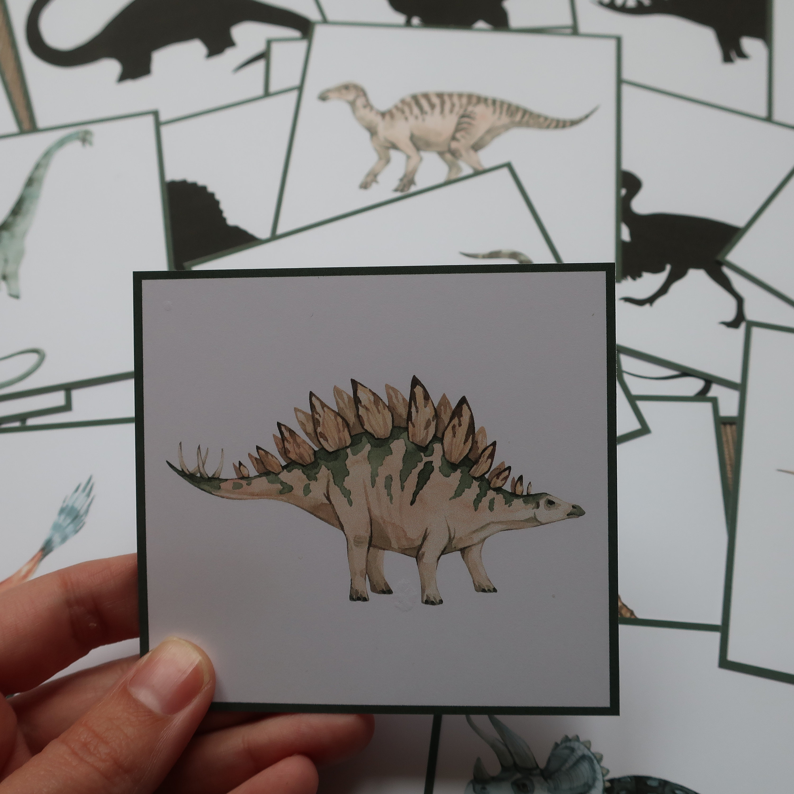 Montessori Printable Dinosaur Shadow Matching Cards. Toddler - Etsy Canada