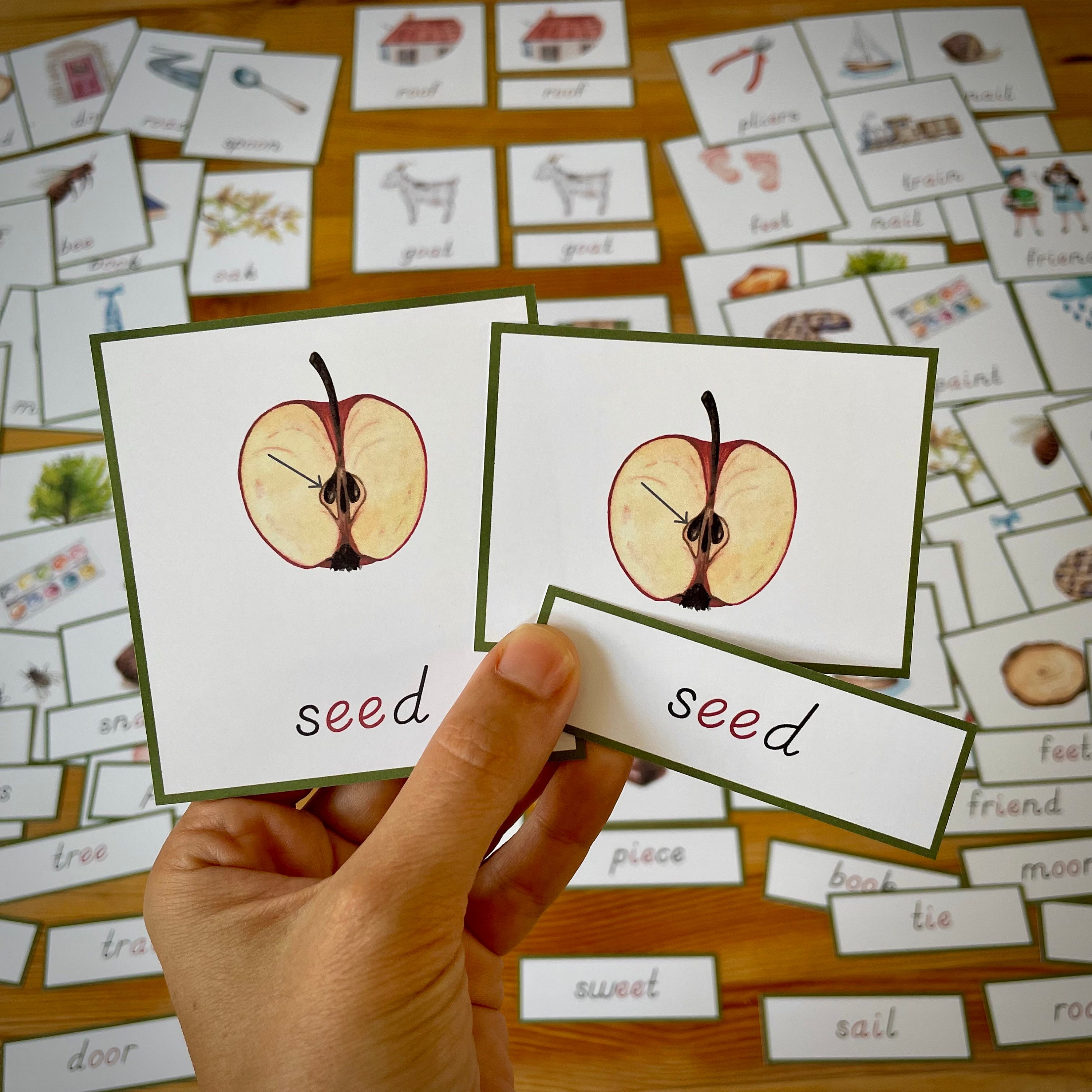 Vowel Digraphs 3-part Cards. Green Series Printable. - Etsy